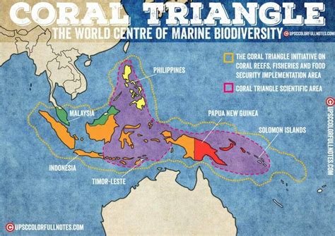 The Coral Triangle A Marine Biodiversity Hotspot In Crisis Map