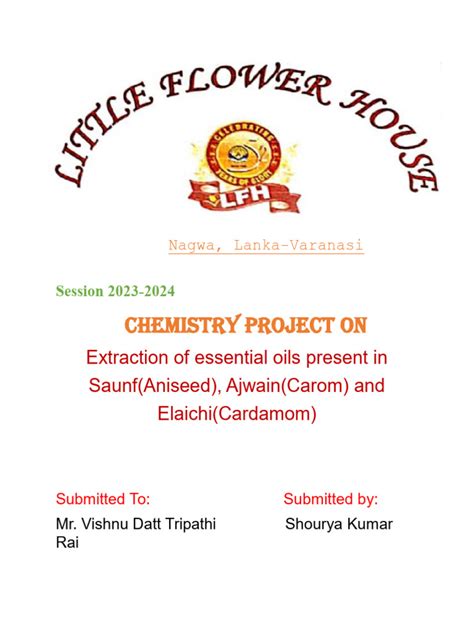 Chemistry Class 12 Project Pdf
