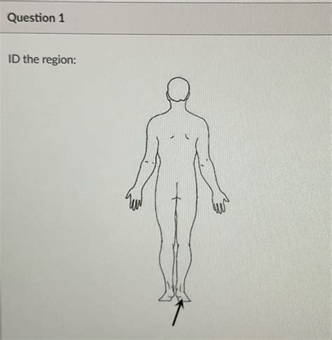 Lab Exam 1 Flashcards Quizlet