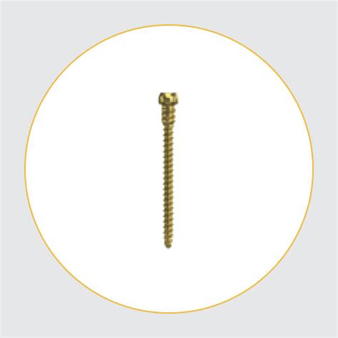 Suprapatellar Tibia Nail Suprapatellar Tibia Nail Manufacturer