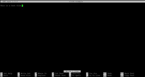 Using Nano Bios At Rsph