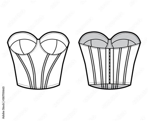 Vector De Stock Bustier Longline Corsetry Bra Lingerie Technical