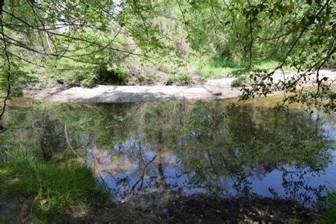 Bryan Park Richmond Va