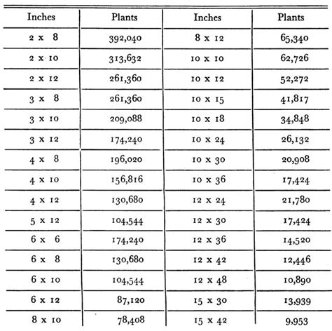 Plants Per Acre Table Feasibility Of Growing Pineapple Forage On