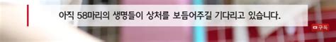 마산 애니멀 호더에게서 구조한 50여마리의 고양이들에게 손길을 내밀어주세요 곧 쉼터가 폐쇄되어 아이들이 갈 곳이 없습니다 인스티즈instiz 이슈 카테고리