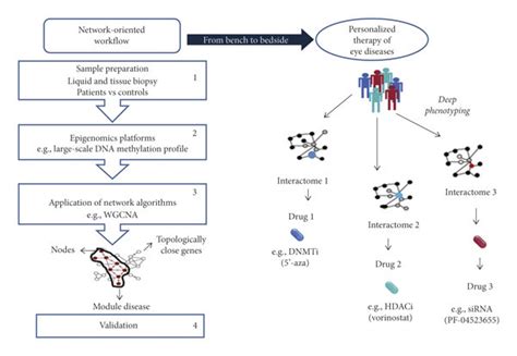 A Network Oriented Workflow The Computational Pipeline Relies On Four
