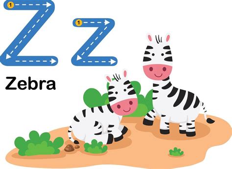 Alphabet Letter Z Zebra With Cartoon Vocabulary Illustration 42878070