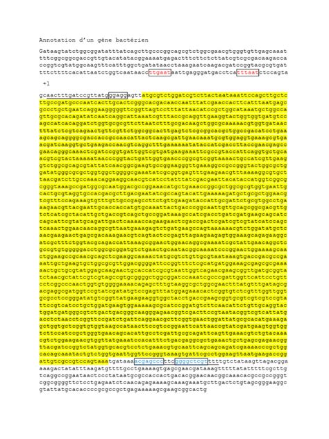 Annotation Pdf