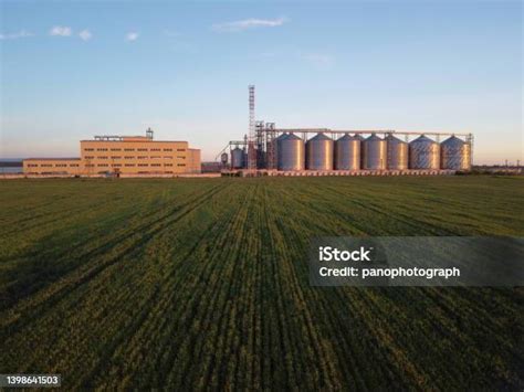 곡물 엘리베이터 농업 지역의 금속 곡물 엘리베이터 수확을위한 농업 저장 녹색 자연 배경에 곡물 사일로 농업 공장의 외관 아무도