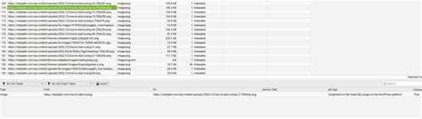 How To Use Screaming Frog SEO Spider For Website Audits