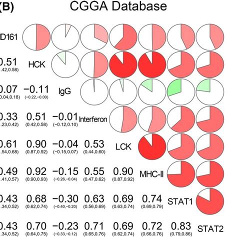 The Correlation Between Cd161 Expression And T Cell Immunity And Download Scientific Diagram