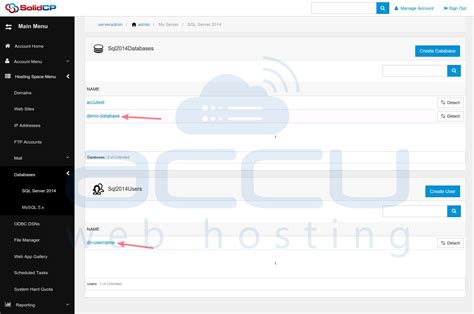 How To Add Ms Sql Database In Solidcp Accuwebhosting