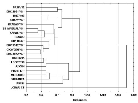 Results Of Cluster Analysis For Lc Ms Data Peak Intensities Of 10