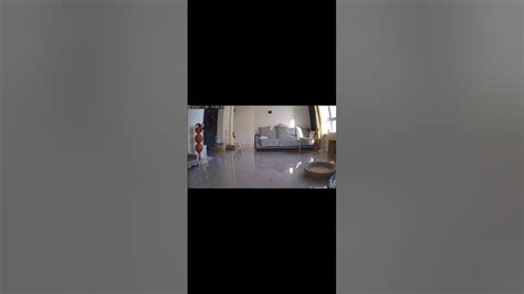 记录猫咪日常 我和我的猫 傻猫的日常 在你们眼里是大大的卡车，离开麻麻之后是弱小可怜需要人陪的小猫咪 Youtube