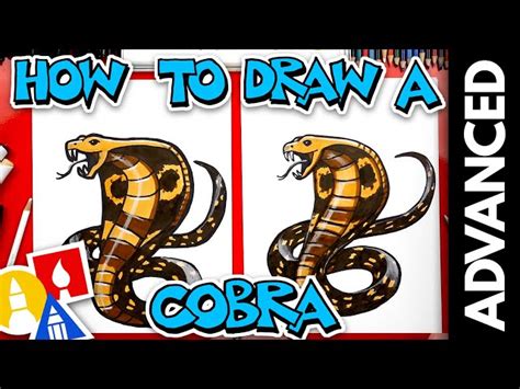 How To Draw A Snake Like A Pro Easy Steps For Beginners