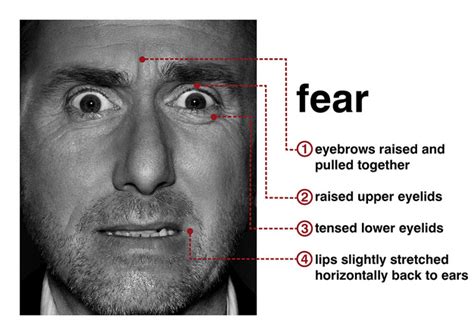 Fear Dr Rajiv Desai