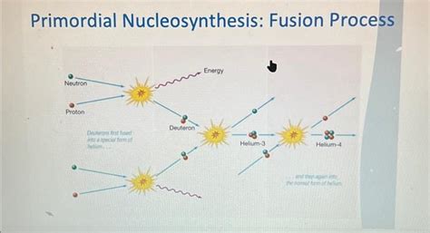 Solved Primordial Nucleosynthesis Fusion Processwhen The
