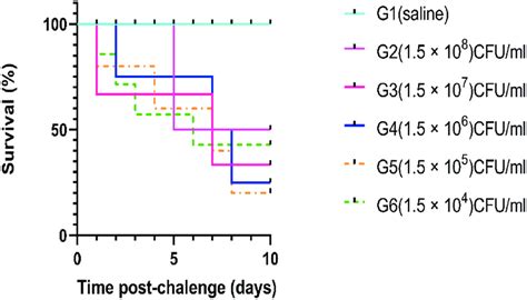 Graph Pad Prism Survival Plot Of Nile Tilapia Showed The Pathogenicity