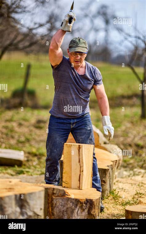 Strong Man Splitting Beech Logs With An Ax Stock Photo Alamy