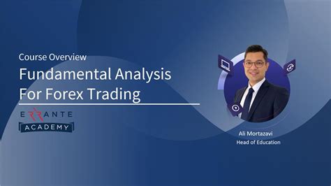 Basics Of Fundamental Analysis In Forex Trading Errante Academy