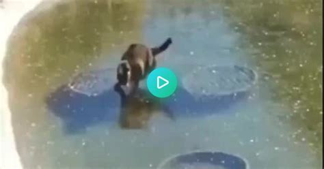 Plus Cartoon Sound Effects Album On Imgur Plus Cartoon Sound Effects Album On Imgur