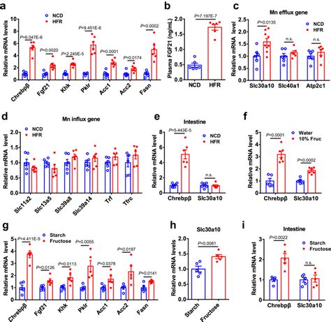 Dietary Fructose Upregulates Slc30a10 Expression In The Liver A E