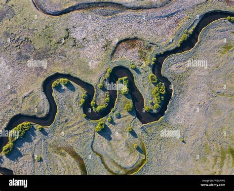 Meanders