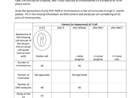 Ploidy In Human Cells 2n 46