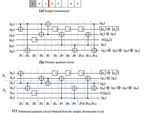 A A Sample Chromosome B Primary Quantum Circuit C Partitioned Quantum Download Scientific