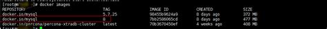 在linux系统中使用docker拉取mysql数据库 docker 拉取linux版本mysql csdn博客