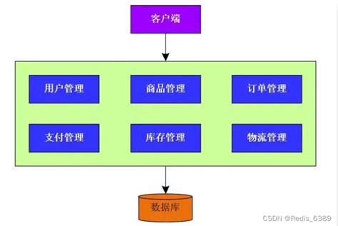 单体架构到微服务架构演进 单体架构向微服务架构的演变 Csdn博客