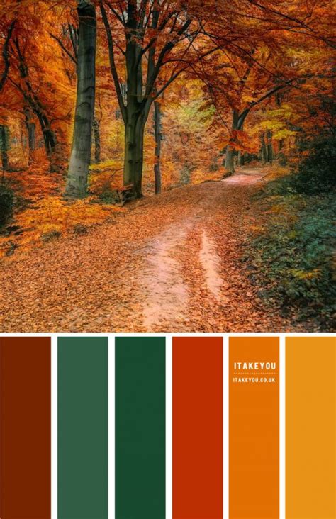 Autumn Leaf Colour Scheme Colour Palette I Take You Haircuts Hairstyles Hair Colours