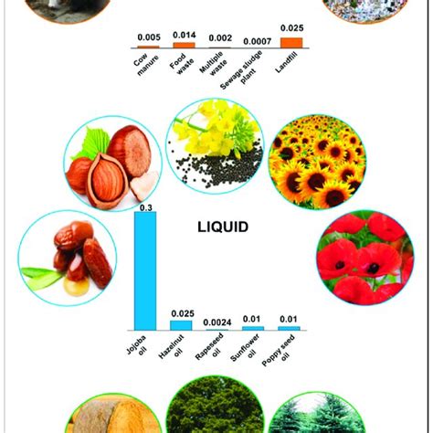 A Few Examples Of Sulfur Content Wt In Solid 7374 Liquid