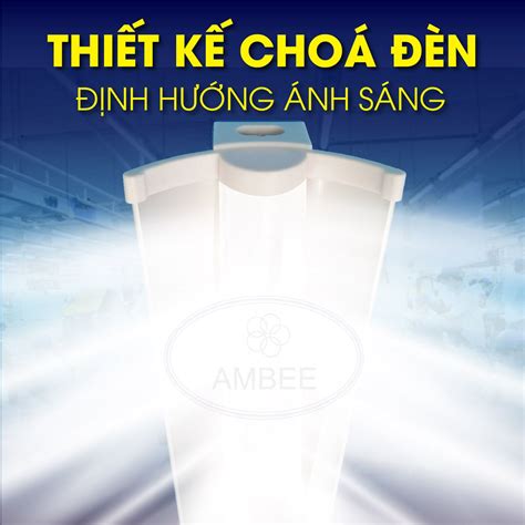 B Ng Gi B N Tu P Led M W W M I Nh T