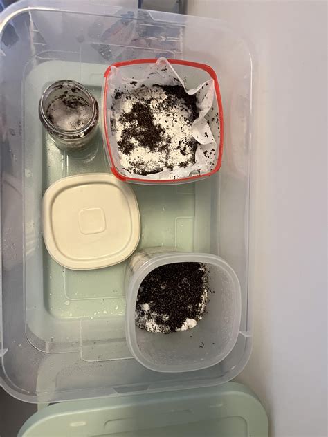 [actives] No Pins 2 Weeks Into Fc R Mushroomgrowers