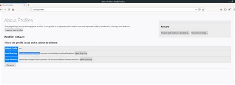 How To Back Up Firefox Snap Settings On Linux