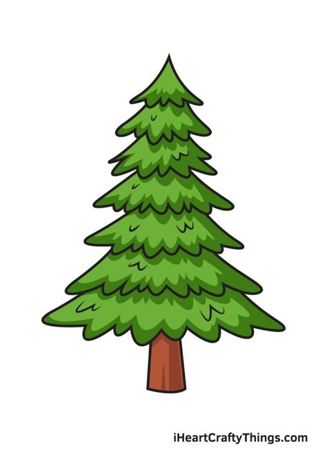 Pine Tree Drawing How To Draw A Pine Tree Step By Step