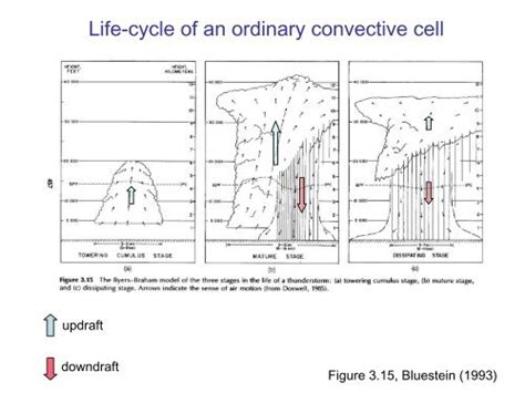 Skew T Log P Diagram