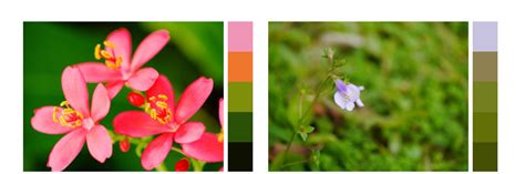 Computational Aesthetics Shall We Let Computers Measure Beauty