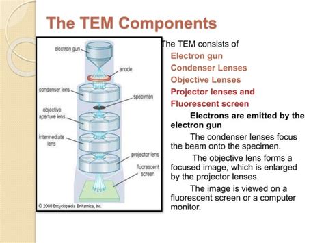 Electron Microscope Ppt