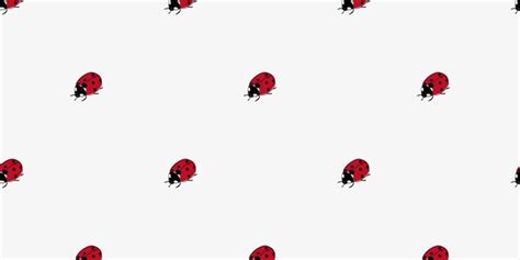 Premium Vector Seamless Pattern With Ladybug