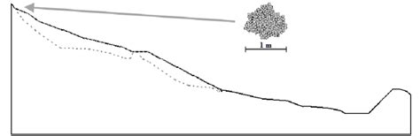 Discrete Element Model For Rockfall Of Slope Download Scientific Diagram
