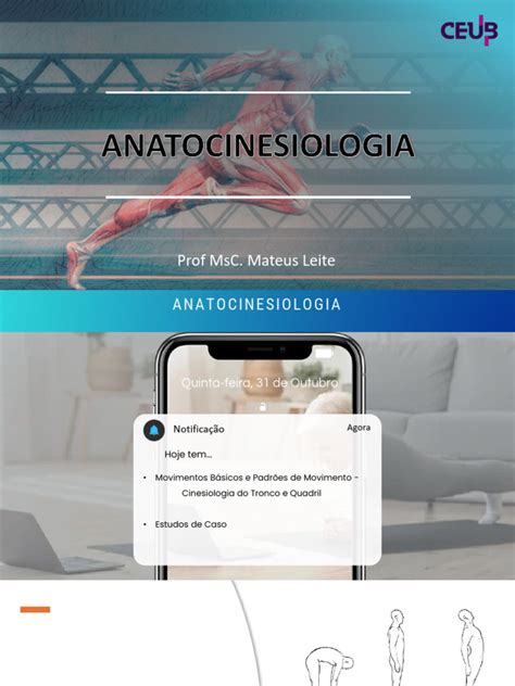 Aula 11 Tronco Posterior E Quadril Pdf Pélvis Coluna Vertebral