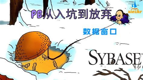 Pb从入坑到放弃 程序员晓凡 博客园