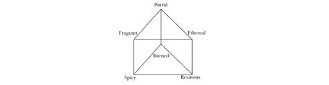 the scent of ux the unrealized potential of olfactory design sirrona