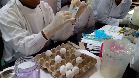 Egg Inoculation 23 Inoculating The Allantoic Cavity Youtube