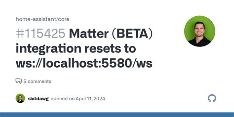 Matter Beta Integration Resets To Wslocalhost5580ws · Issue