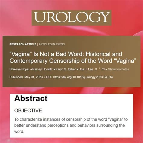 Karyn Eilber On Linkedin Vaginaisnotabadword Urology