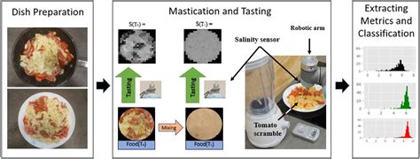 Frontiers Mastication Enhanced Taste Based Classification Of Multi