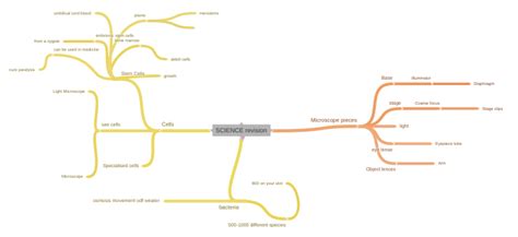 Science Revision Coggle Diagram